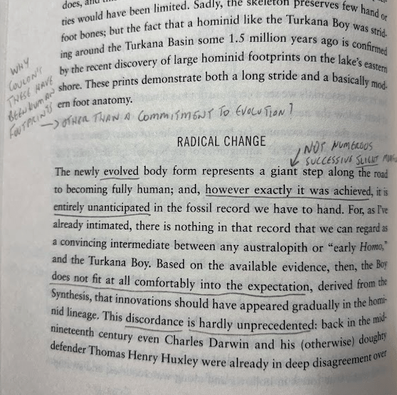 Can Evolution Explain Human Origins? | ApoloJedi